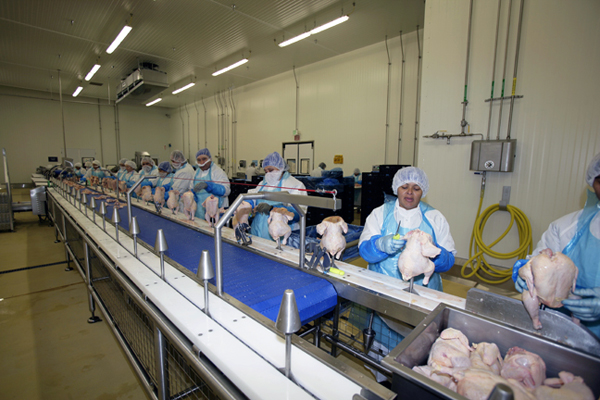 Food Industry Projects | 2 Sisters Food Group